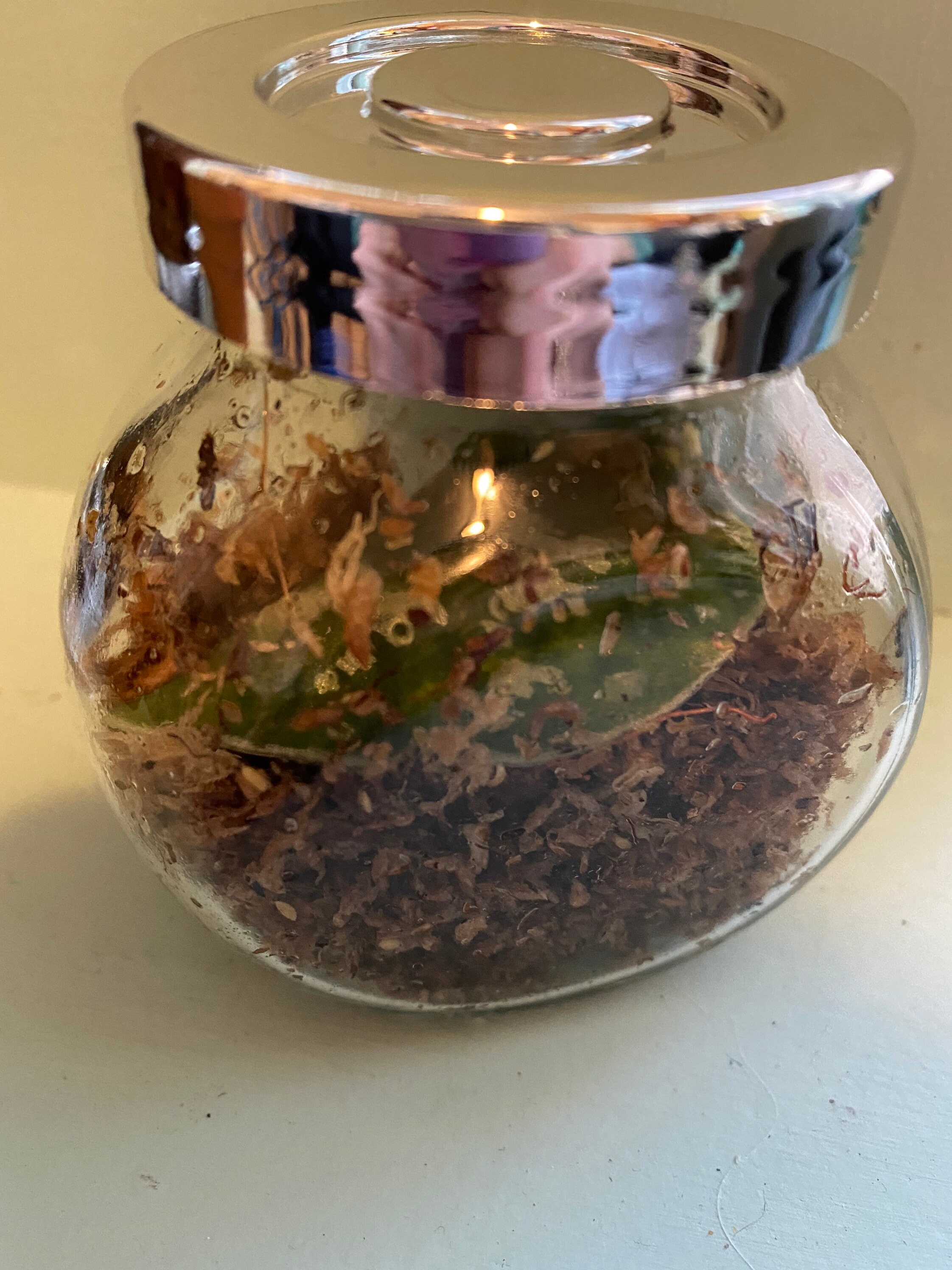 Mystery Cutting in Glass Jar - Etsy UK