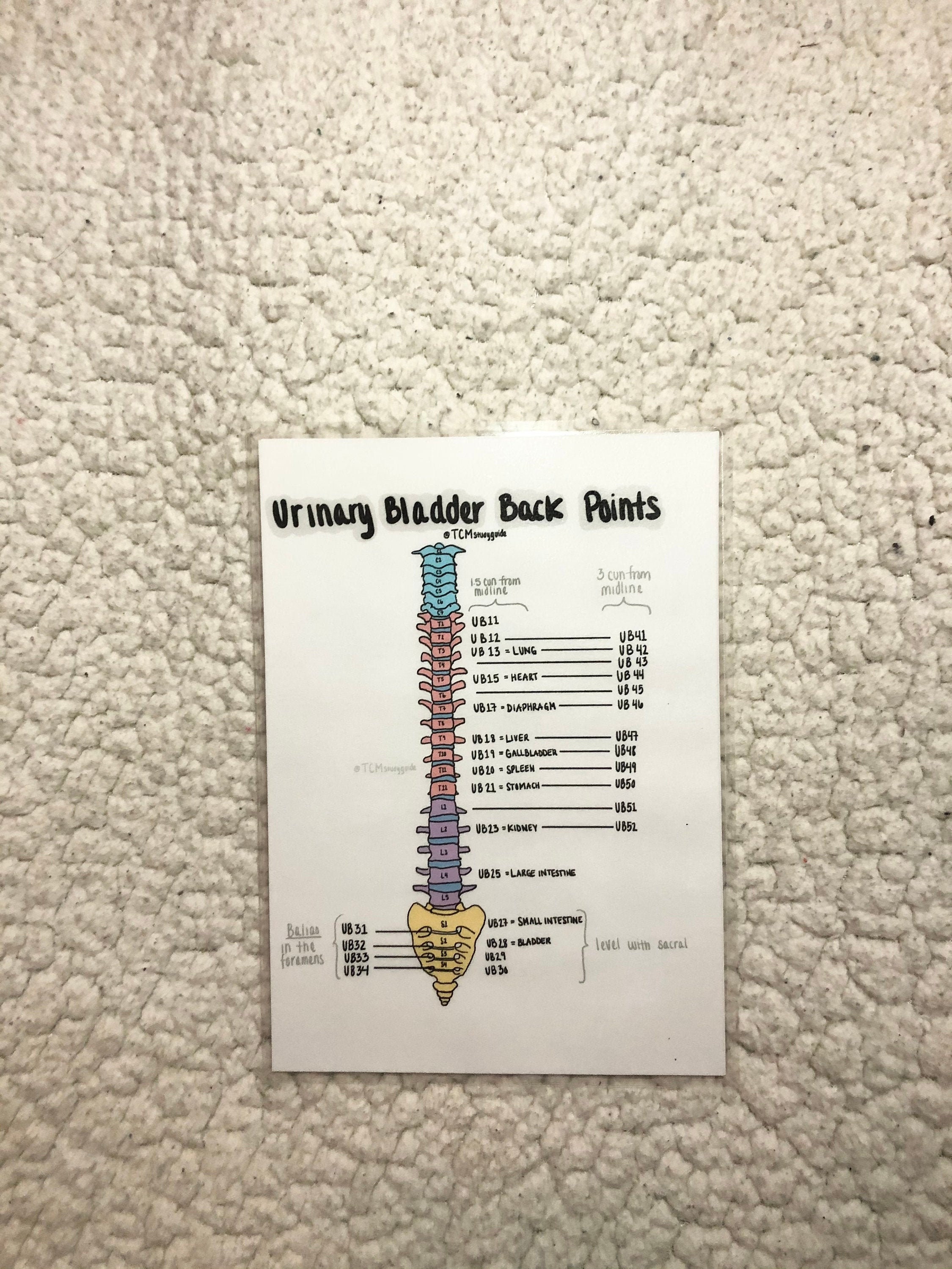 UB Channel Back Points - Etsy