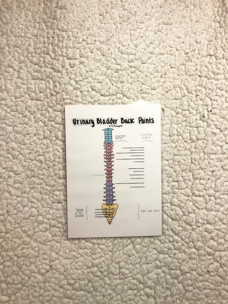 UB Channel Back Points - Etsy