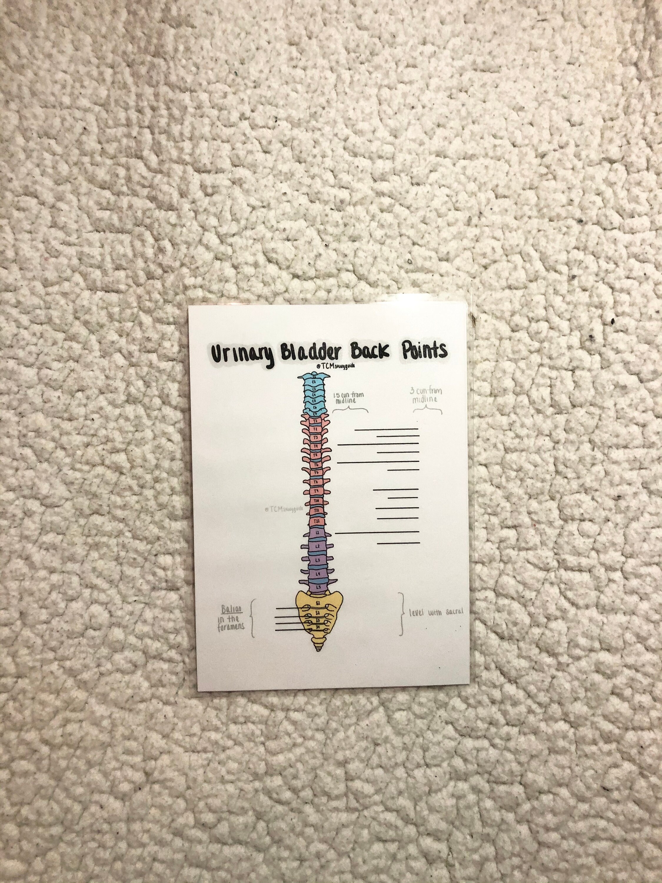 UB Channel Back Points - Etsy