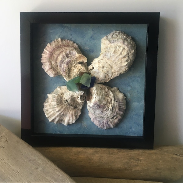 Framed Shell Art - Etsy