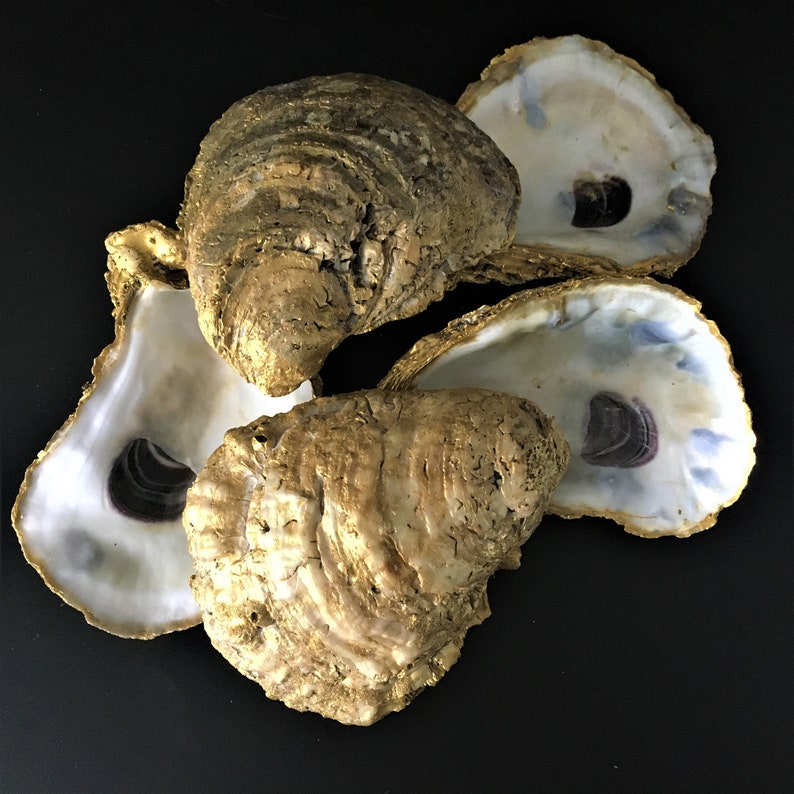 Oyster Shell Ring Dish Gold Oyster Shell Wedding Favor - Etsy