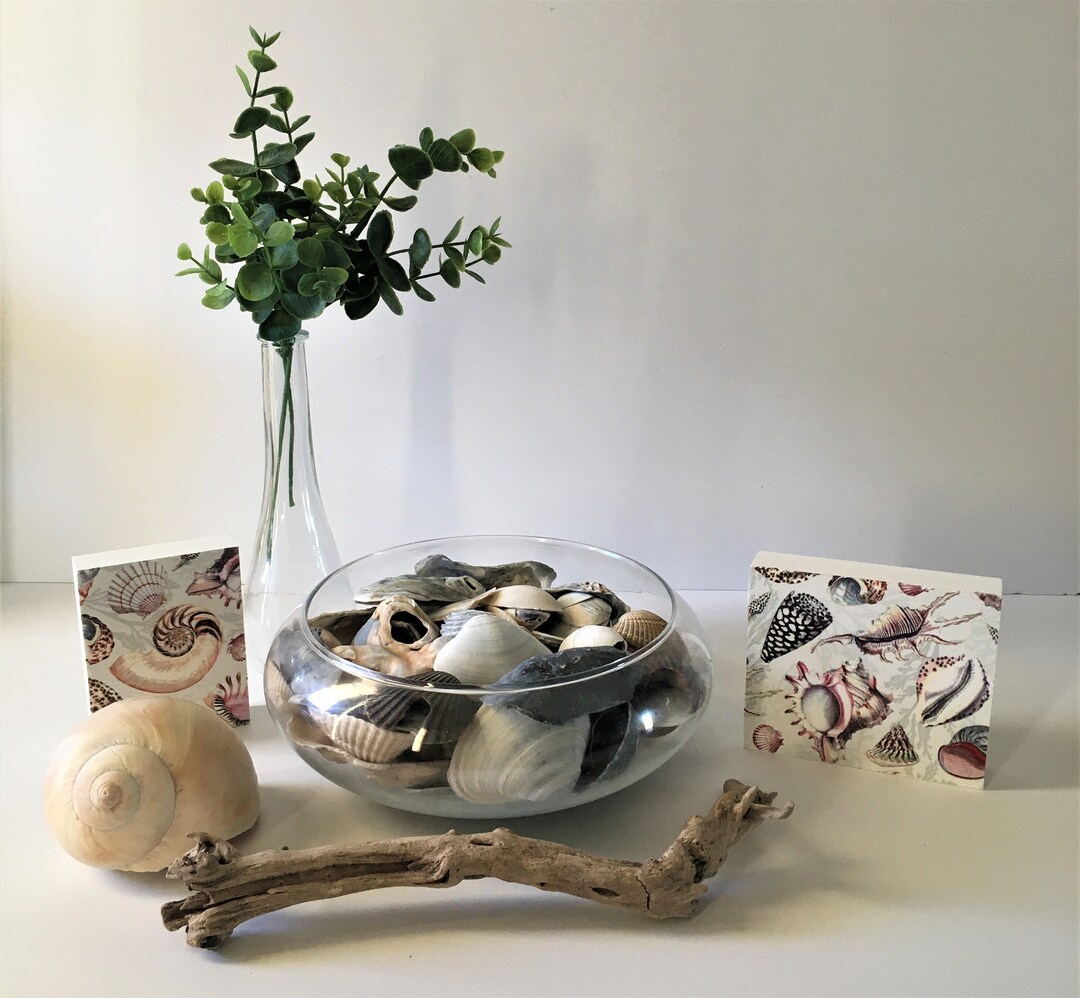 Sea Shell Décor; Tiered Tray Décor Bundle; Nautical Bundle; Decoupage ...