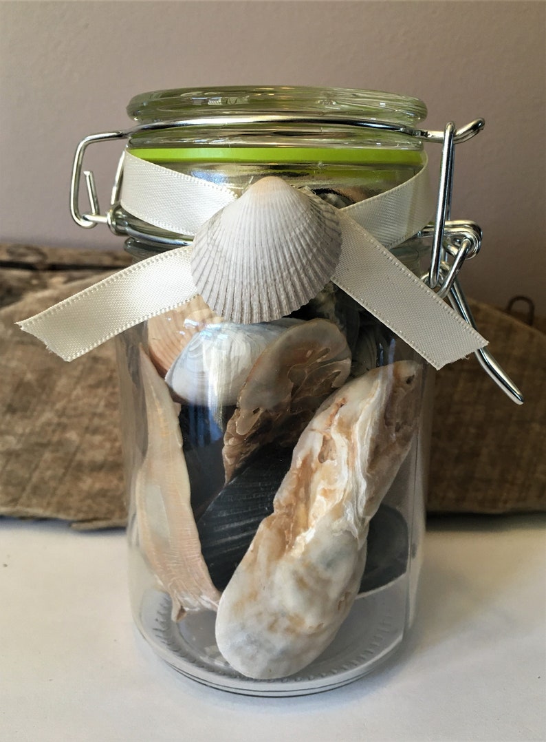 Sea Shells in a Jar Jar of Sea Shells Shells From the - Etsy
