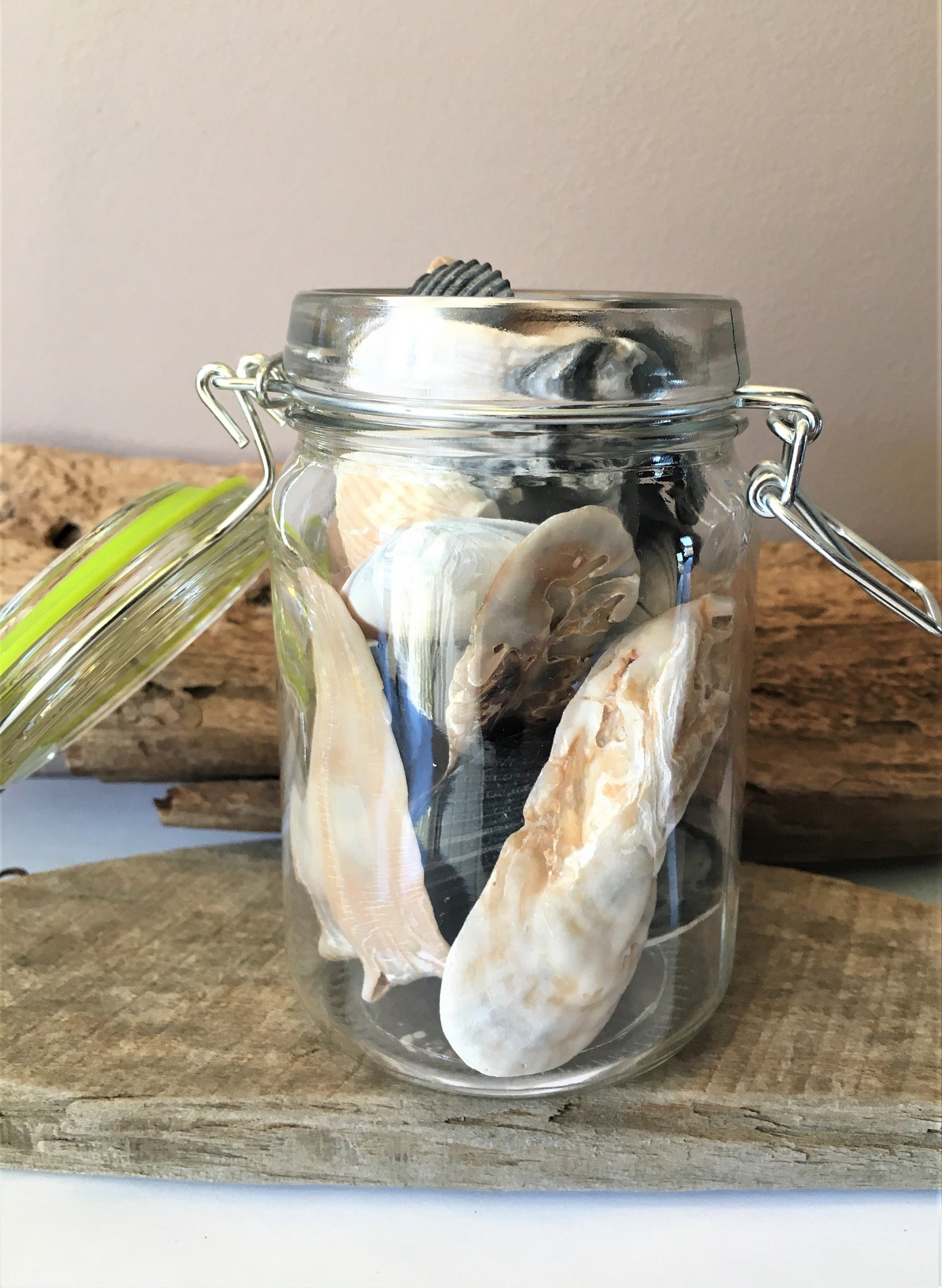Sea Shells in a Jar Jar of Sea Shells Shells From the - Etsy
