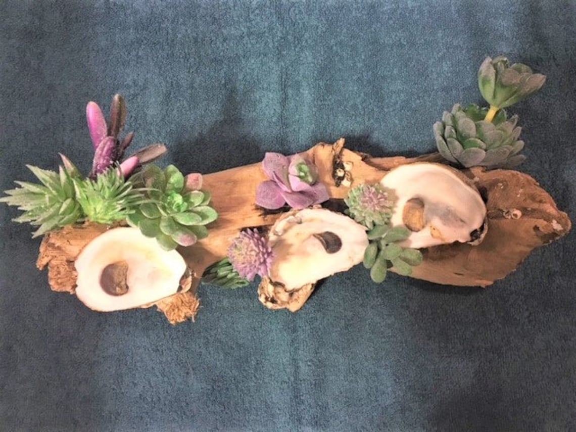 Driftwood Centerpiece With Oyster Shells and Artificial Succulents ...