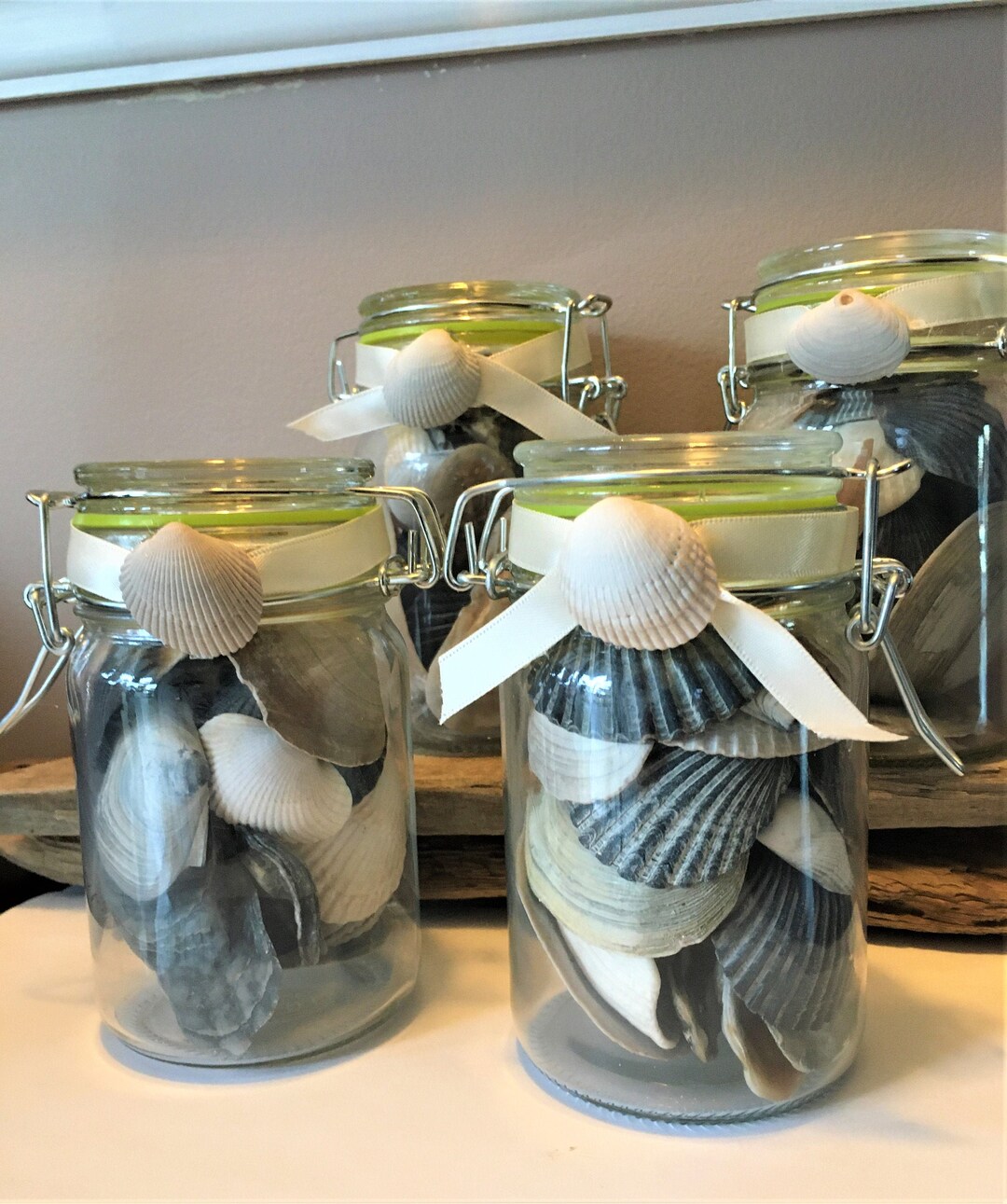 Sea Shells in a Jar; Jar of Sea Shells; Shells From the Atlantic Ocean ...