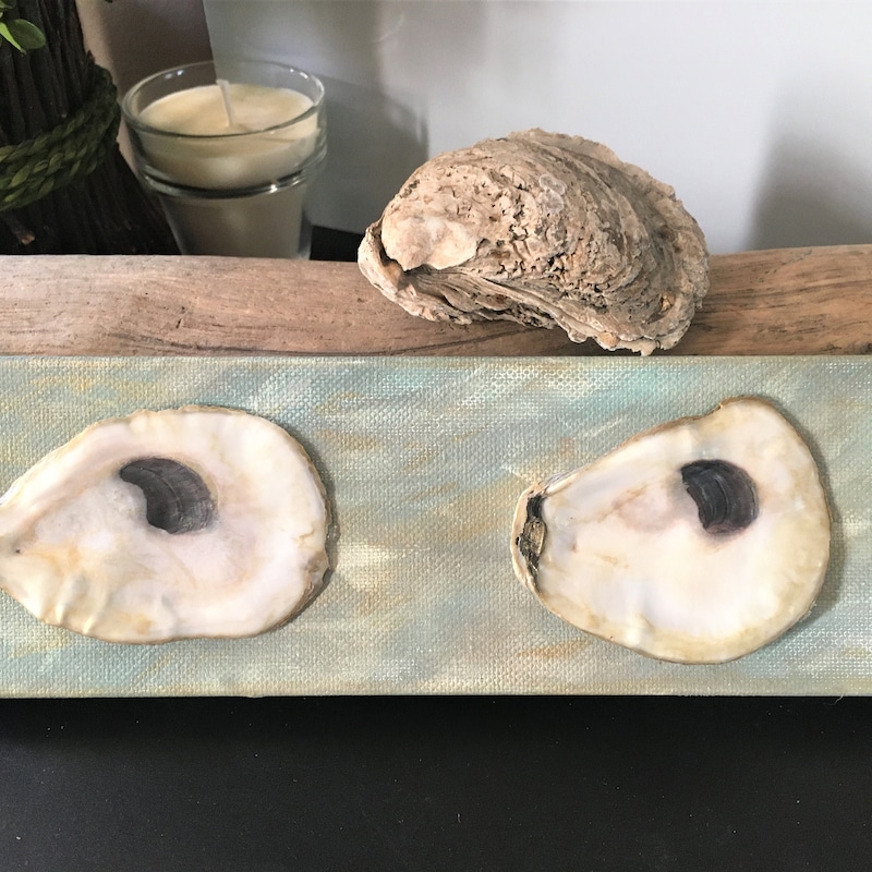 Oyster Shell Decor - Etsy