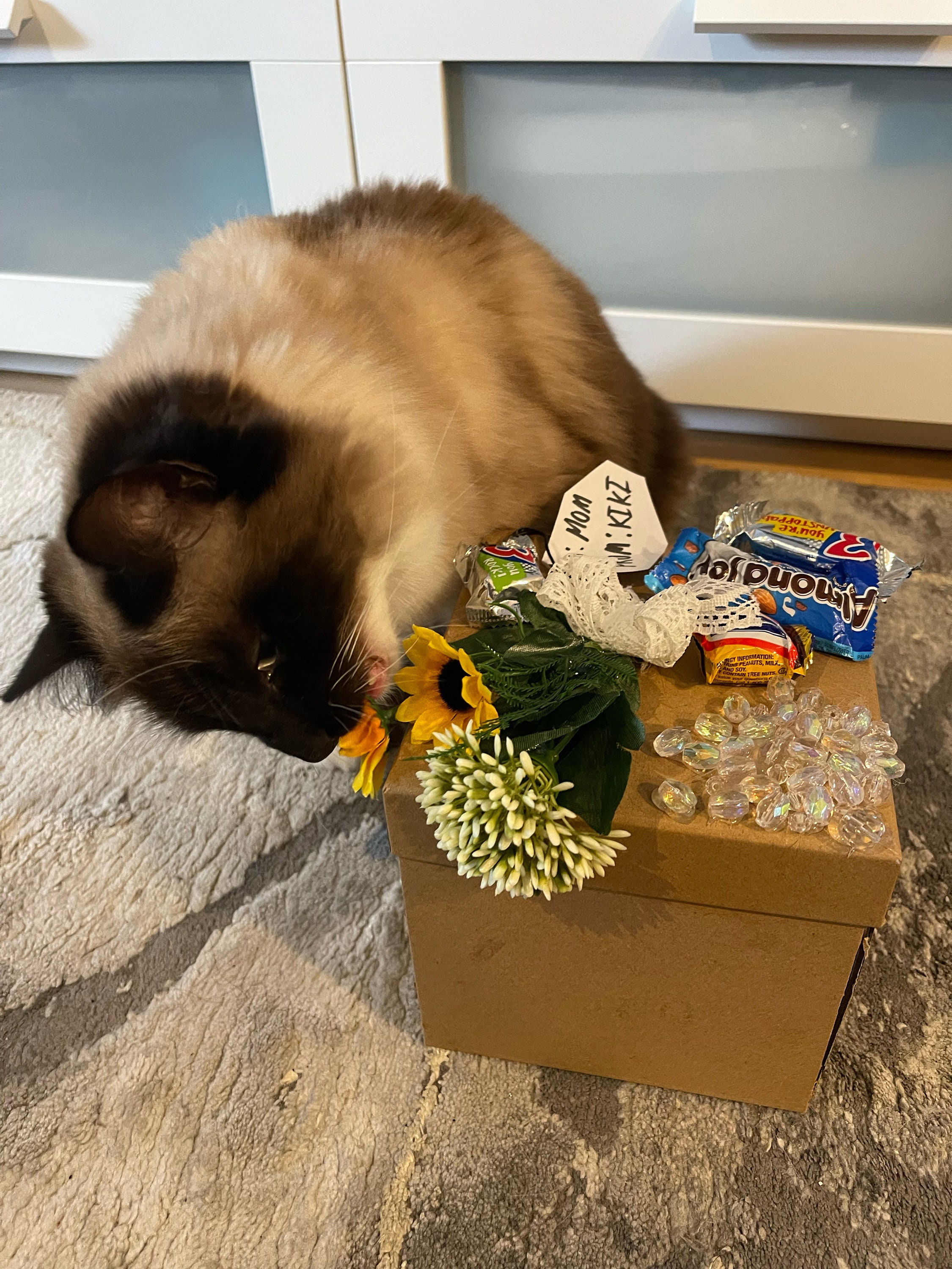 Customizable Exploding/nesting Gift Boxes - Etsy