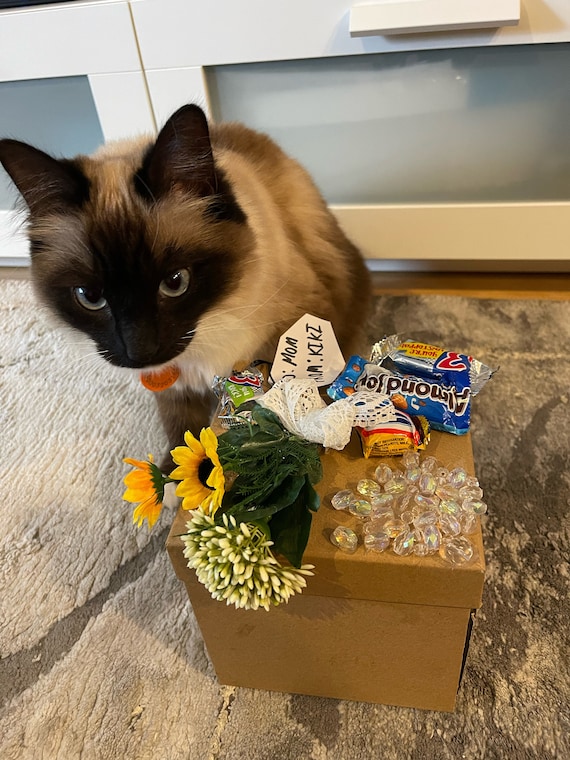 Customizable Exploding/nesting Gift Boxes - Etsy