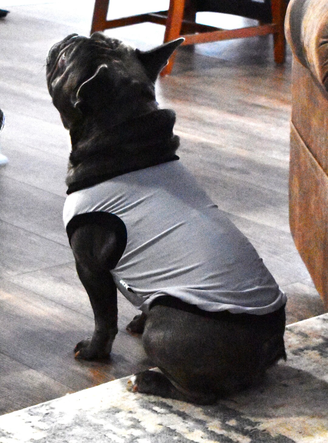 Dog Muscle Shirt in Four Sizes - Etsy