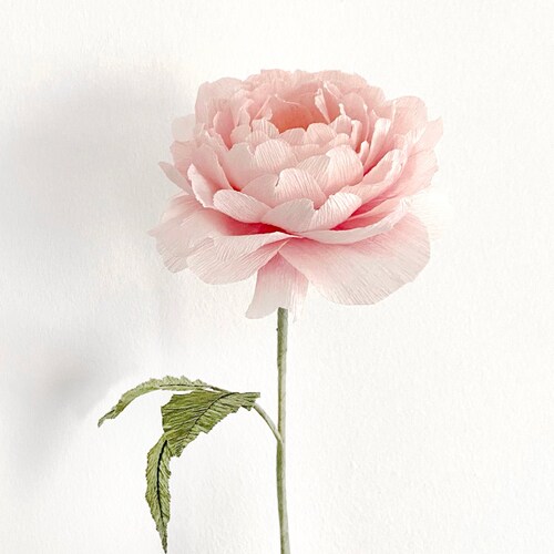 DIY KIT Handmade Crepe Paper English Rose Scepter'd - Etsy