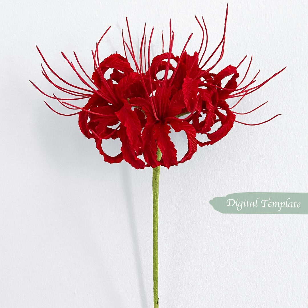 Crepe Paper Spider Lily Template With Video Tutorial - Etsy Canada