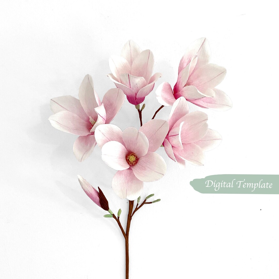 Crepe Paper Magnolia Template With Video Tutorial (version 2022) - Etsy