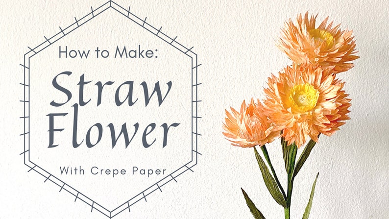 Digital Template handmade Crepe Paper Straw Flower Digital - Etsy