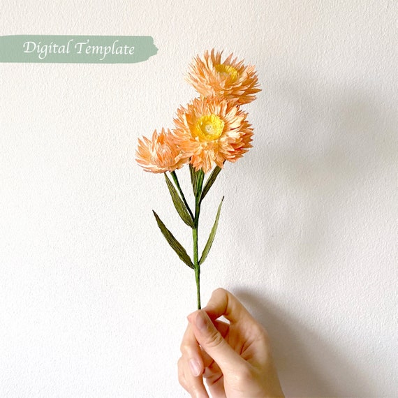 Digital Template handmade Crepe Paper Straw Flower Digital - Etsy