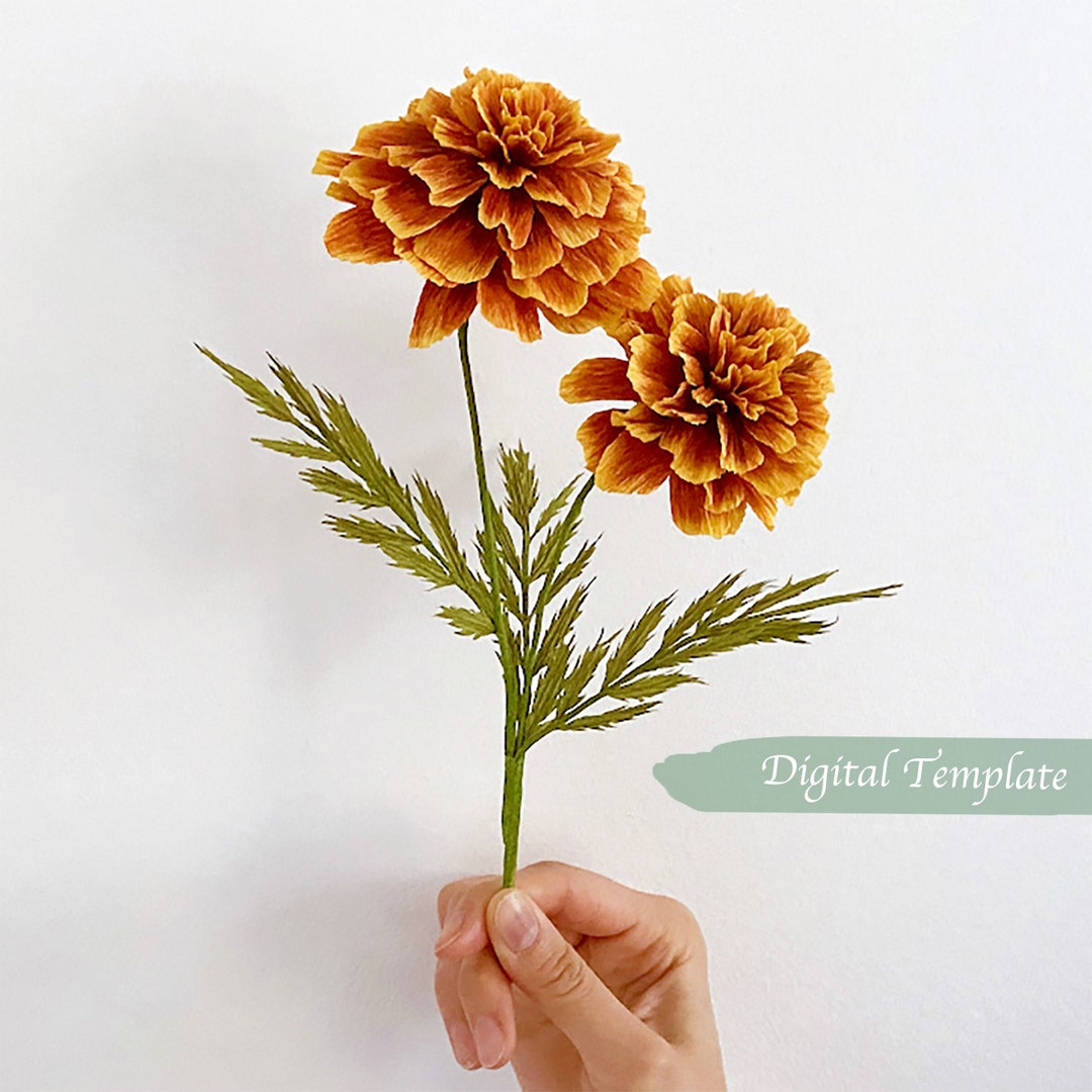 Crepe Paper French Marigold Flower Digital Template With Video Tutorial ...