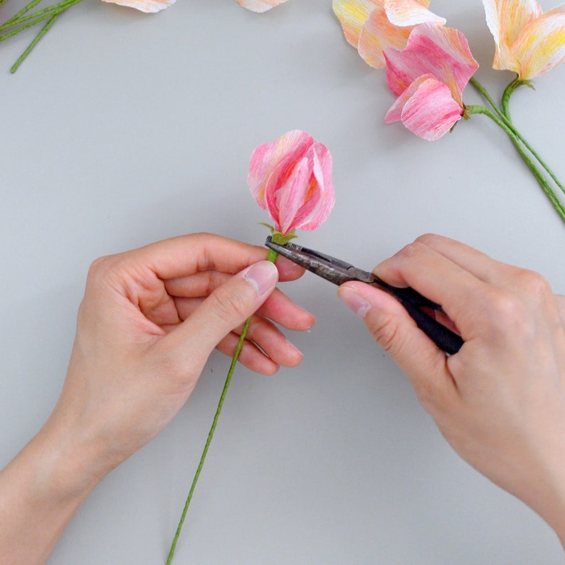 Digital Template Handmade Crepe Paper Theo's Sweet Pea - Etsy