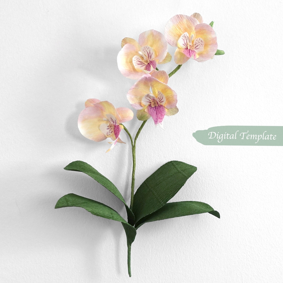Crepe Paper Orchid Flower Digital Template With Video Tutorial - Etsy