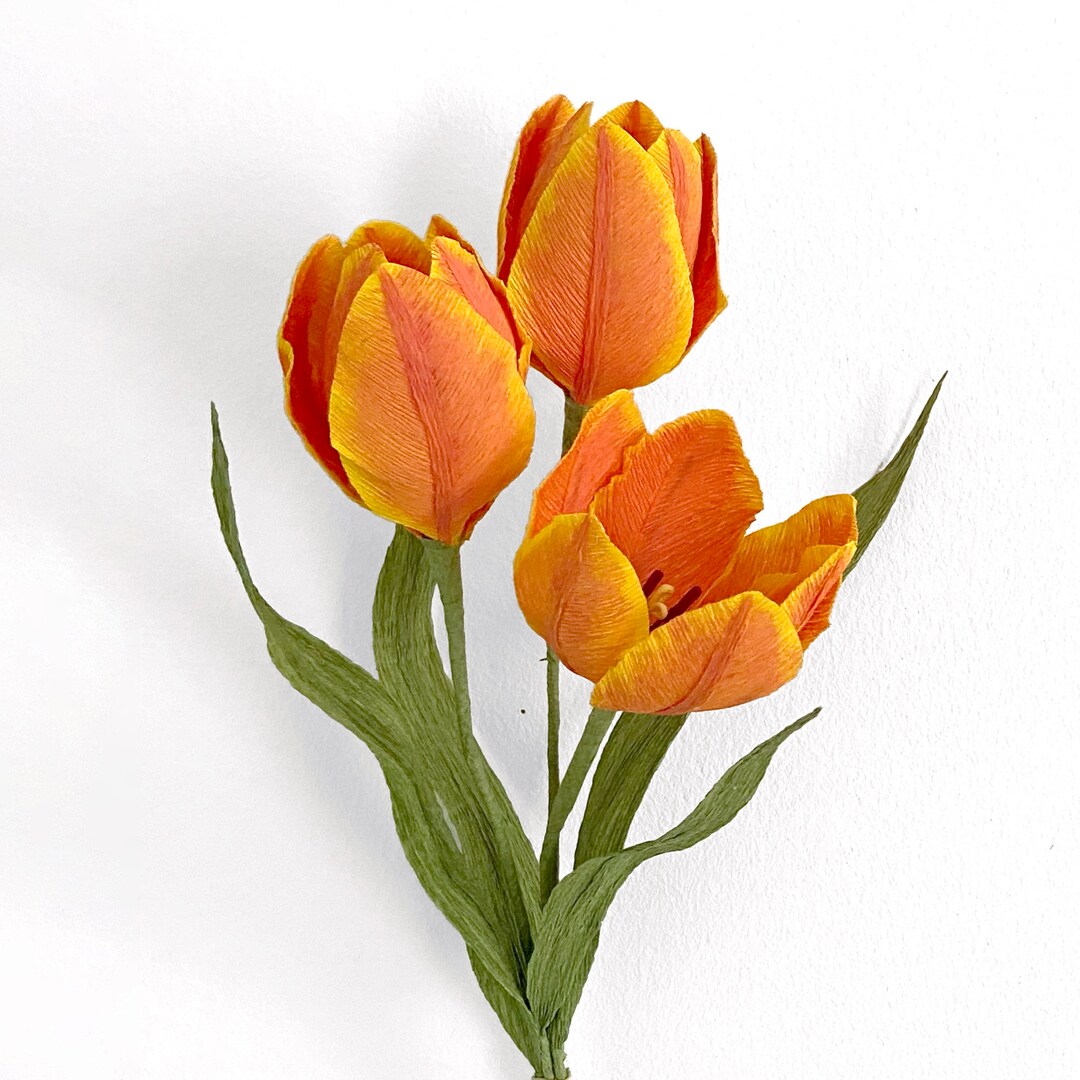 DIY KIT Handmade Crepe Paper Classic Tulip's Kit With - Etsy