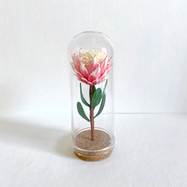 Protea - Etsy