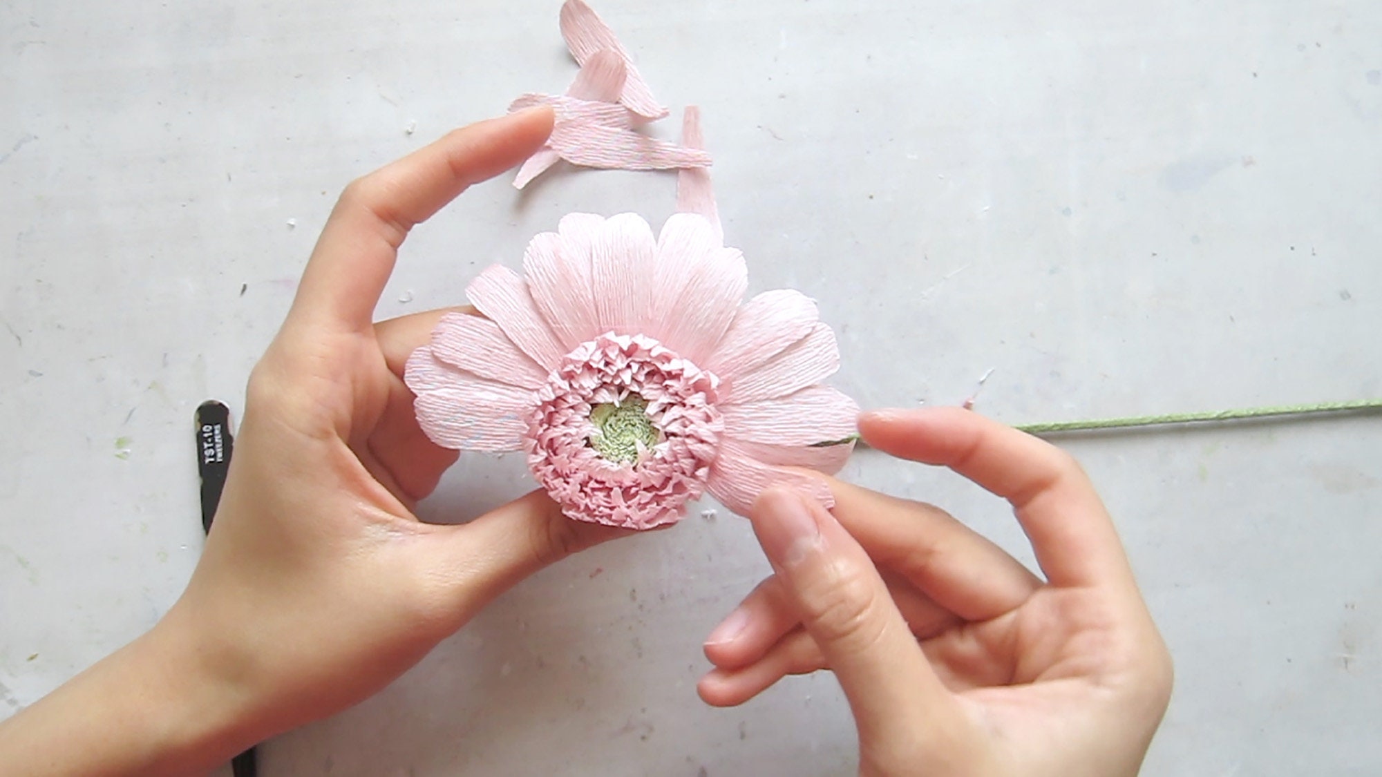 Digital Template Handmade Crepe Paper Gerbera Daisy Template With Video ...