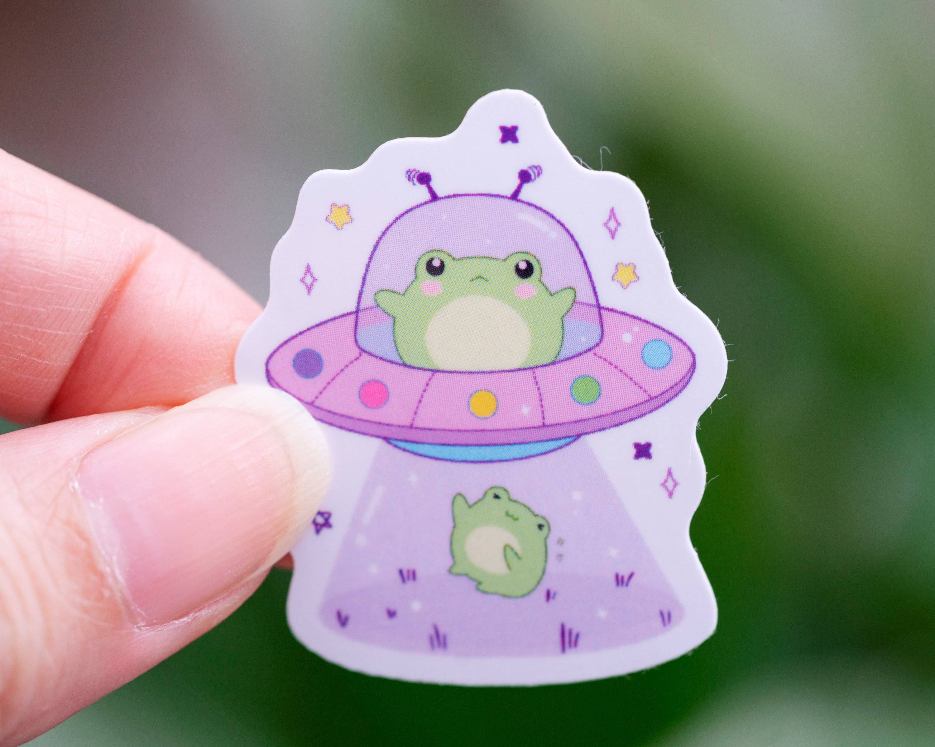 Pack of 6 Frog Vinyl Sticker Kawaii Frog Frog Lover Sticker - Etsy