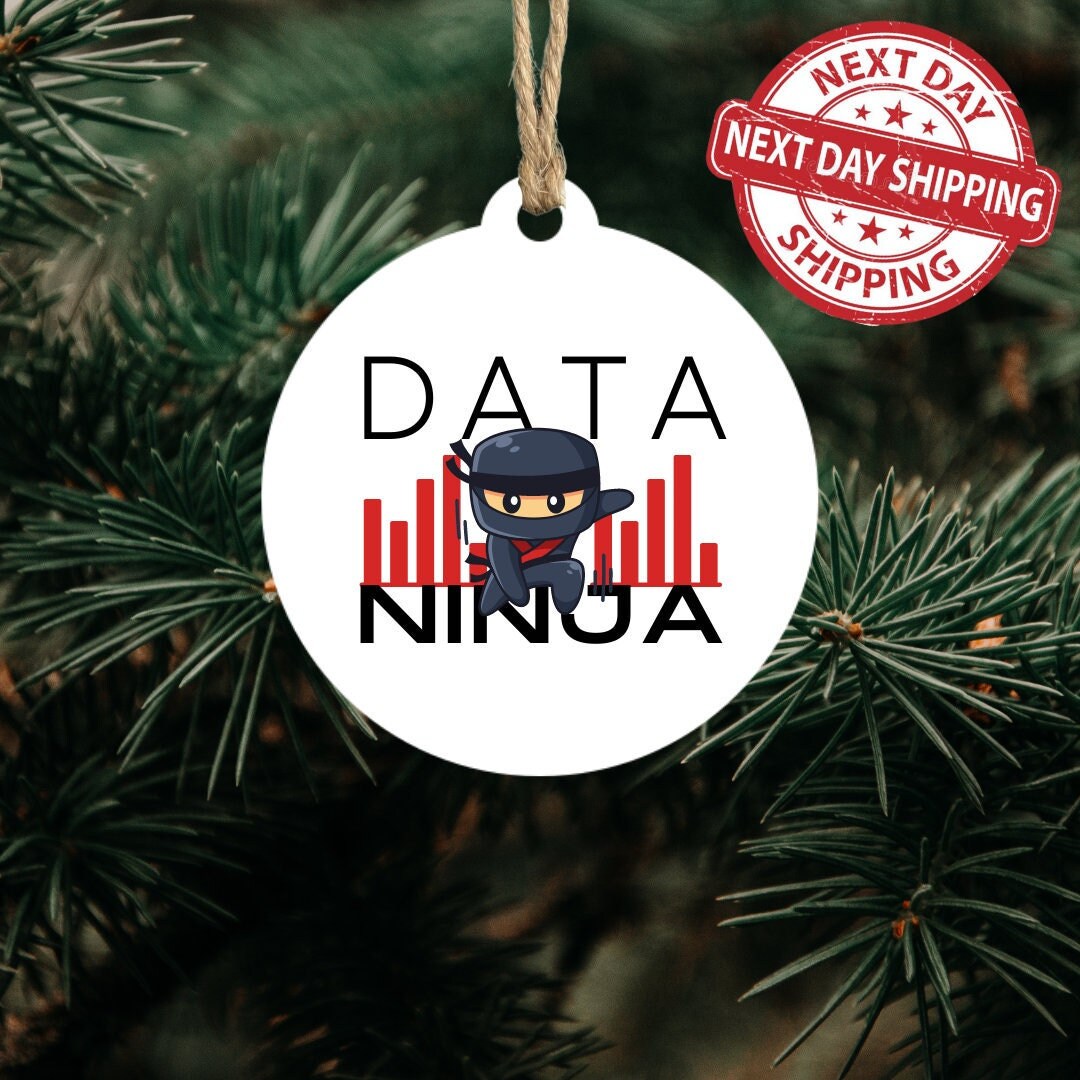 Data Ninja Ornament, Data Scientist Gift, Data Scientist Ornament, Data ...