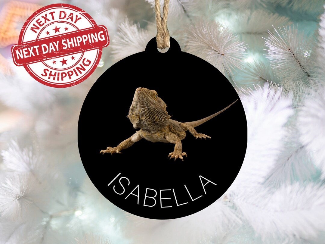 Bearded Dragon Ornament - Personalized - Add Your Pet's Name - Lizard ...
