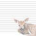Cute Animals Printable Stationery / Digital Note Paper / - Etsy