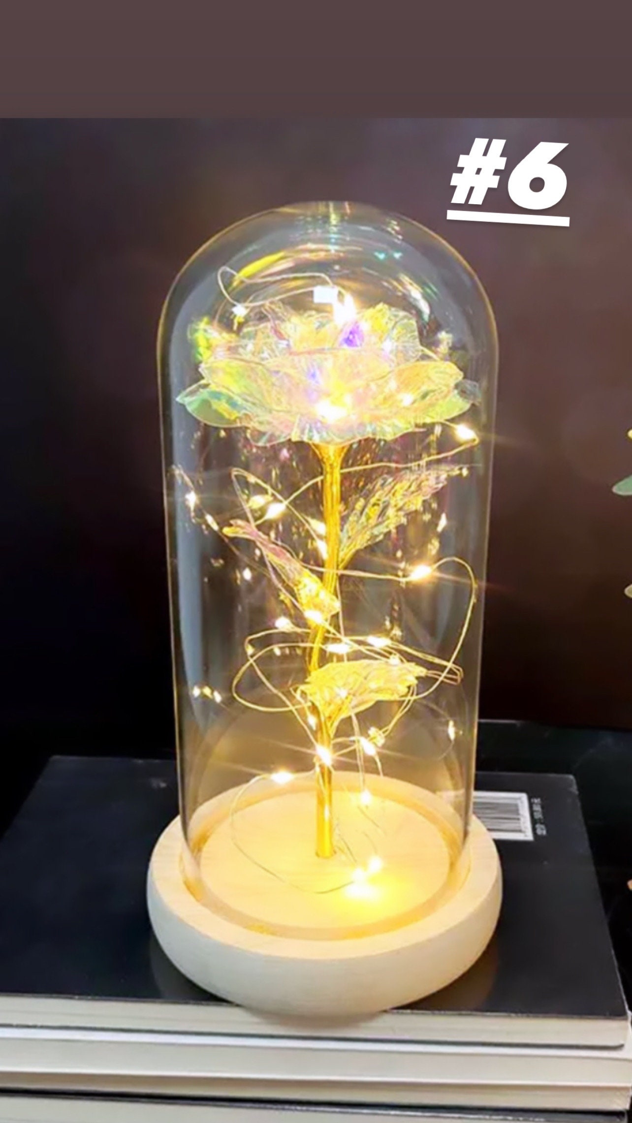 Floral Light up Roses , With Dome! Beautiful Valentines Gift ! - Etsy