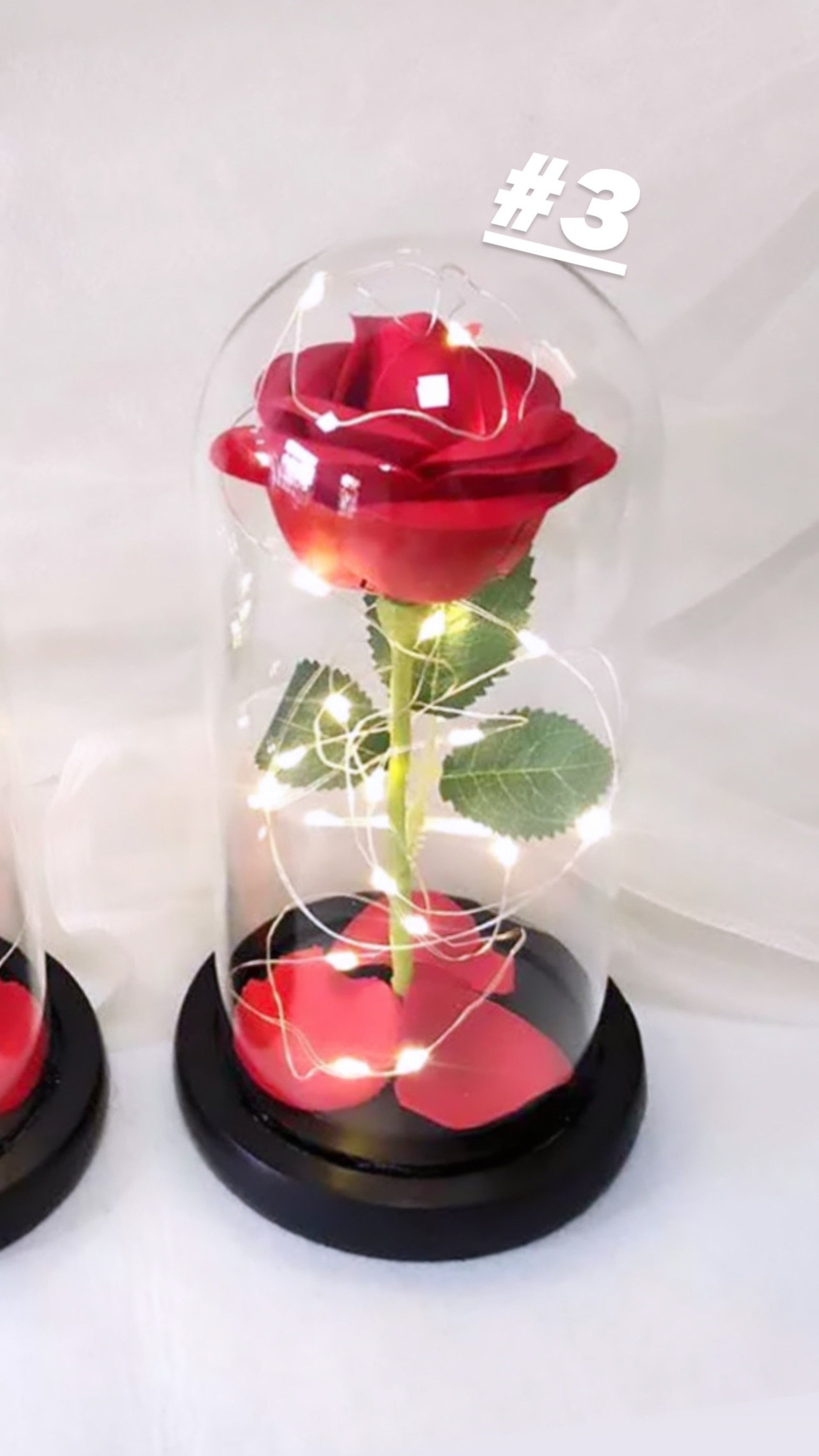 Floral Light up Roses , With Dome! Beautiful Valentines Gift ! - Etsy
