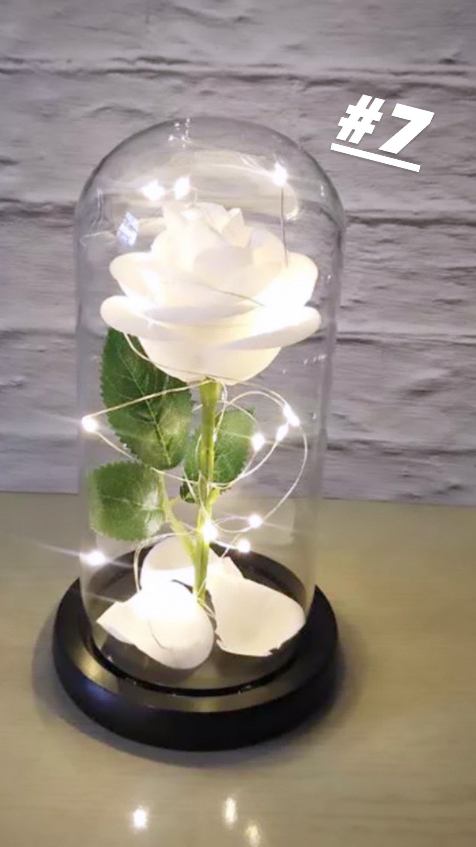 Floral Light up Roses , With Dome! Beautiful Valentines Gift ! - Etsy