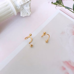 Helix Piercing, Spiral Ear Piercing, Conch Piercing, Silver Earrings ...