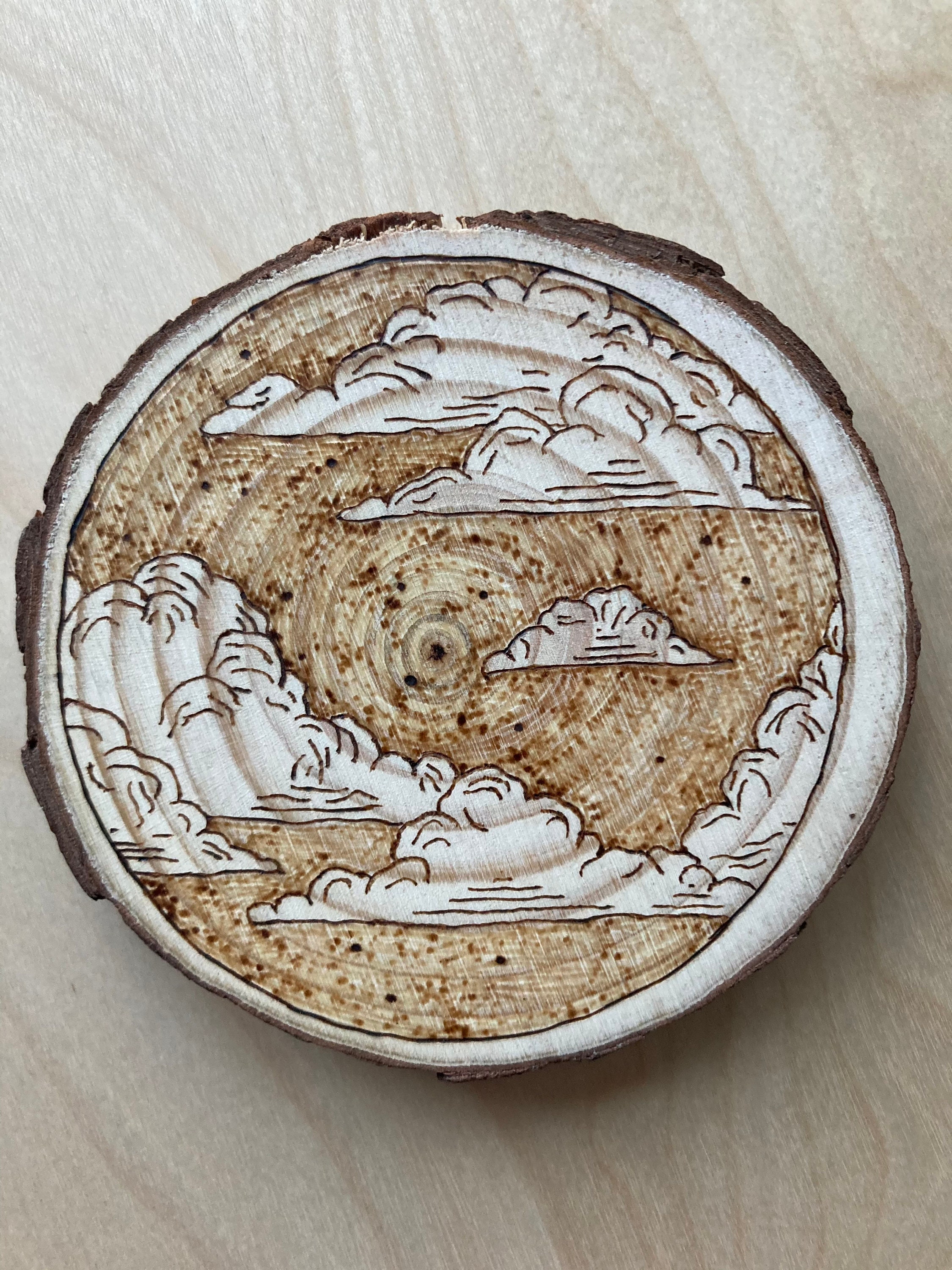 Beautiful Wood-burned Nature Coaster Set - Etsy