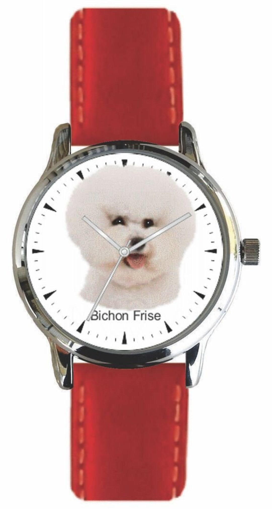 Bichon Frise Breed is the Headshot Image on the Polished Chrome Watch ...
