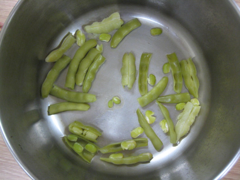 Fat Man Pole Bean (30 Seeds) - Etsy