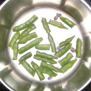 Turkey Craw Heirloom Bean - Etsy