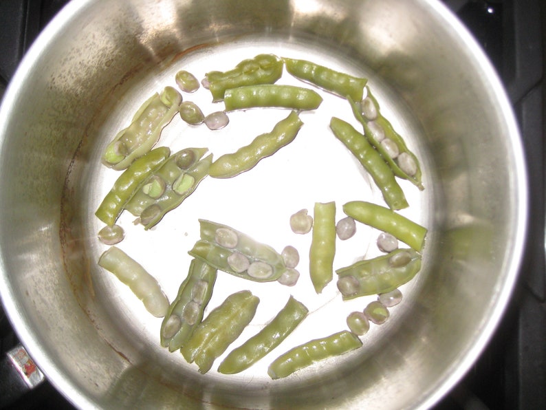 Small Speckled Greasy Cut-short Bean - Etsy