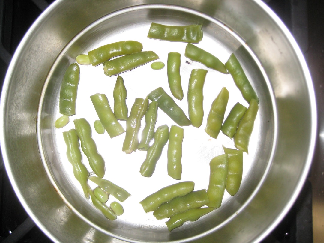 Williams River Hull Bean Heirloom Seeds - Etsy