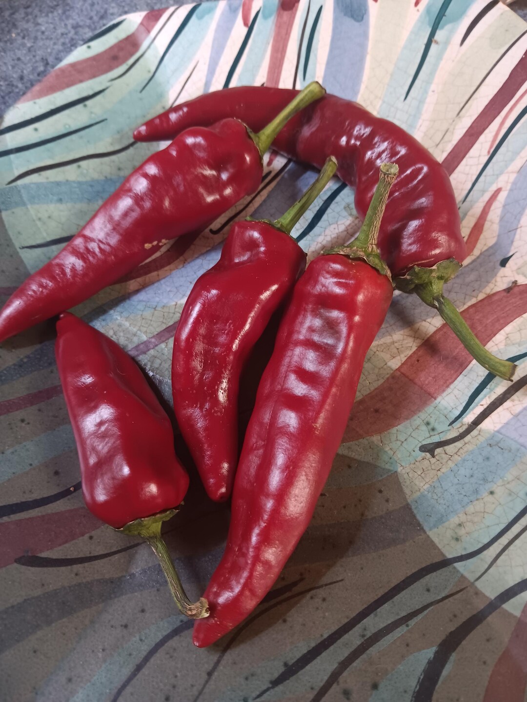 Paprika Drying Pepper Hungarian Heirloom (30 Seeds) - Etsy