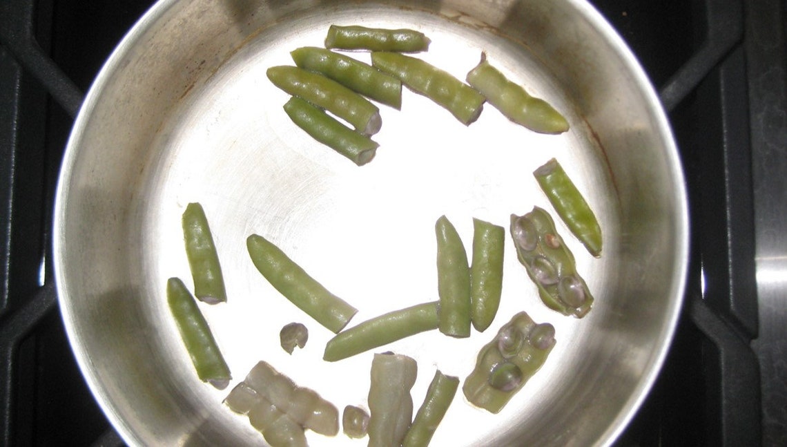 Logan County Greasy Cut-short Heirloom Bean 30 Seeds - Etsy