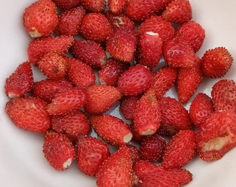Woodland Wild Strawberry Seeds fragaria Vesca Packet of 100 Seeds Palm ...