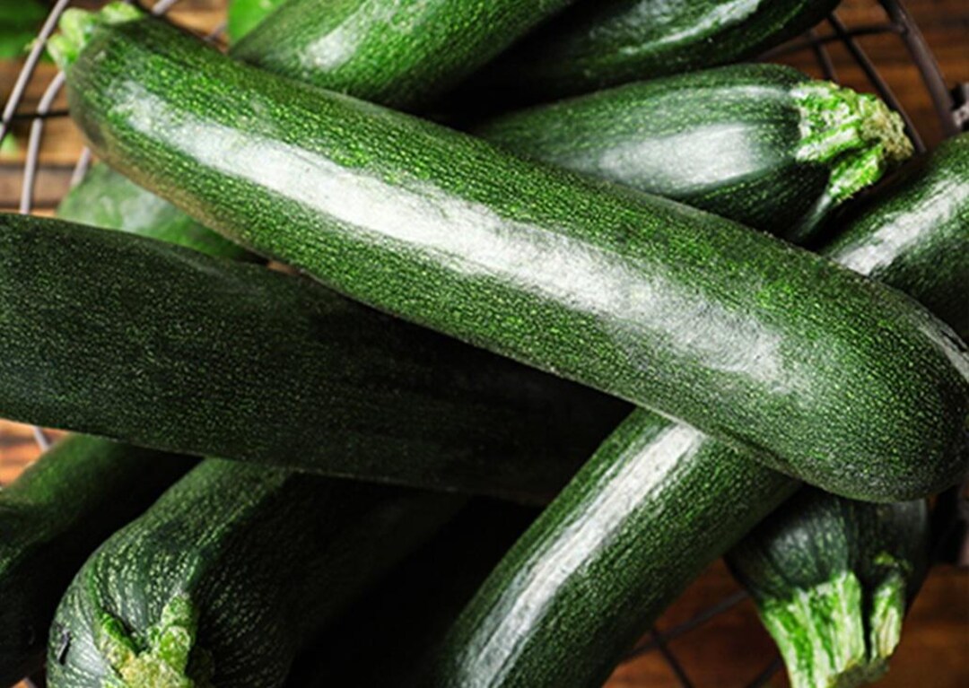 Dark Star Open-pollinated Zucchini Summer Squash Seeds - Etsy