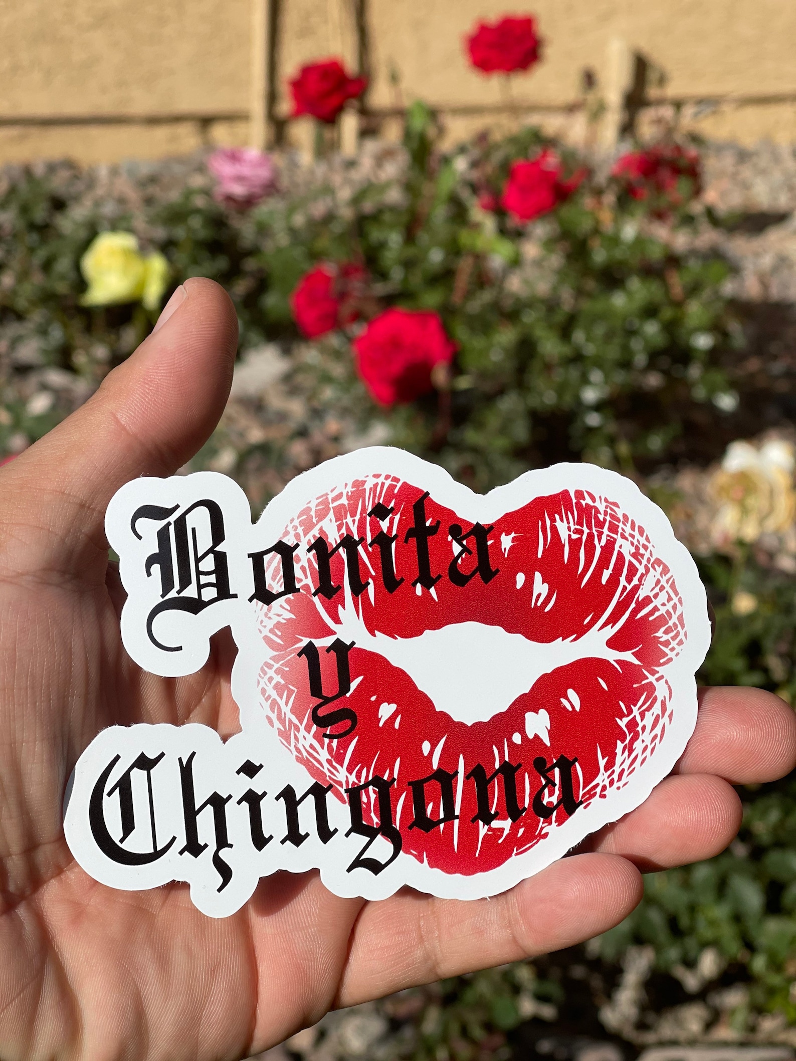 Bonita Y Chingona Sticker 2pk - Etsy