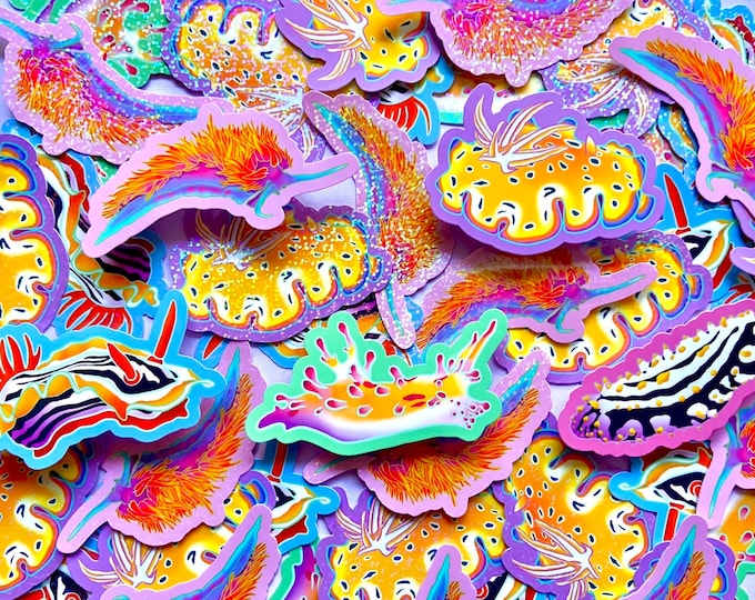 California Nudibranch Stickers: Five Vinyl Stickers, Opalescent ...