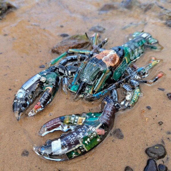 Lobster Nativity Scene - Etsy