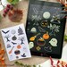 Digital Clipart Halloween and Halloween Stickers Png. - Etsy