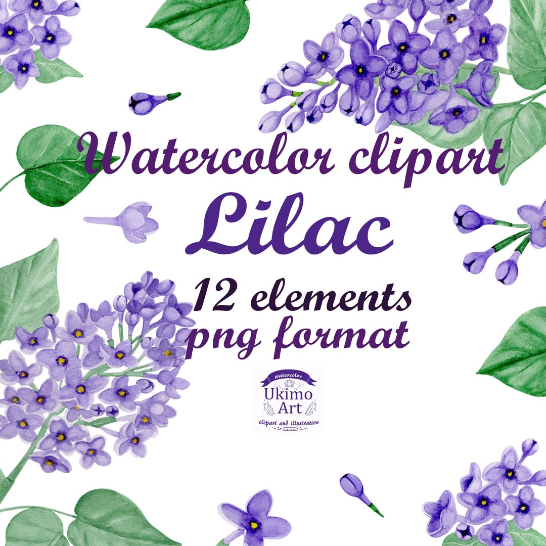 Watercolor Lilac Clipart With Plant Elements, Flowers, Buds, Leaves ...