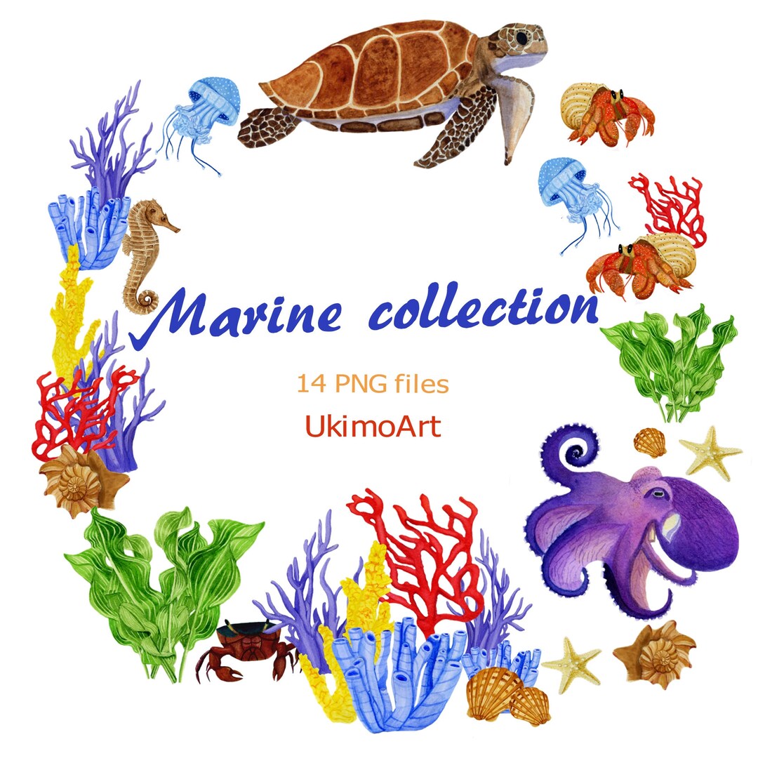 Watercolor Sea Clip Art, Marine Animals, Nautical, Turtle, Octopus ...